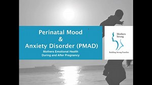 Perinatal Mood and Anxiety Disorders: Mothers Emotional Health During and After Pregnancy