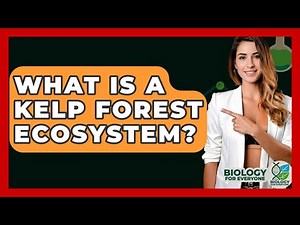 What Is A Kelp Forest Ecosystem? - Biology For Everyone