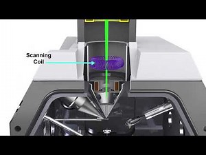 The MagLab’s Scanning Electron Microscope