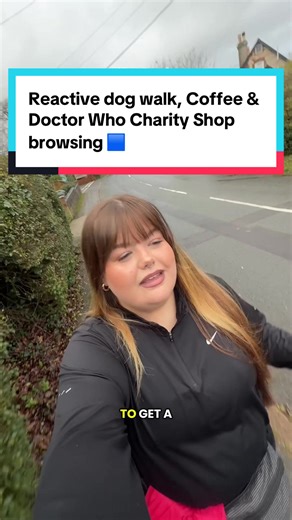 Enjoy a Reactive Dog Walk and Coffee in Isle of Wight