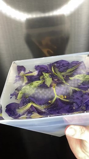 Gorgeous resin pyramid demold by Cathartic Creations !! 💜 #resin #resinart #resindemold #resinpyramid #resinmolds #shopresinmolds #resinartwork #resincrafts #resincraft #resincrafting #resindemolding #resintutorial #Siliconemold #Siliconemolds | Shop Resin Molds