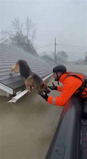 acts of kindness | humanity in action | helping people in need