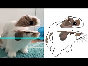 Unexpected Time Warp Scan Animals | Cute and Funniest Pets' Reaction 🐱🐶