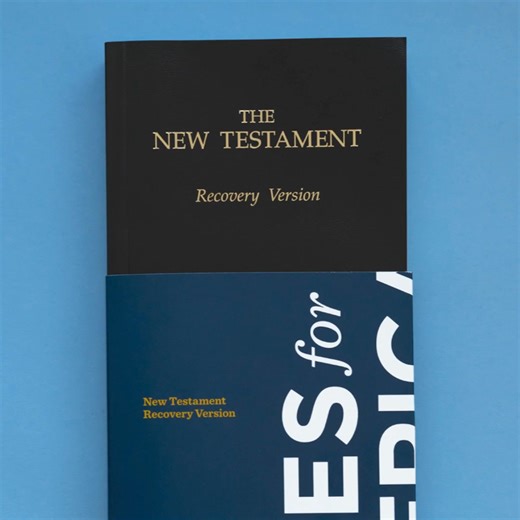 Order a FREE New Testament study Bible to gain more insight into God's Word. Includes free shipping! | Bibles for America