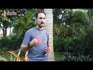 Landscape Lighting Installation - Tips for Lighting the Big Trees