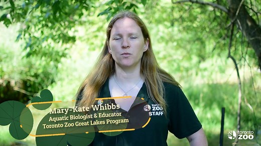 1.9K views · 123 reactions | The final episode 5 of our redside dace...