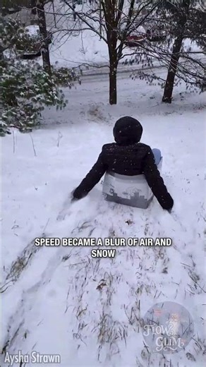 No Sled? No Problem… Oh Wait 😬❄️🌲