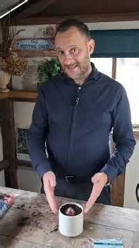 How to Force Hyacinth Bulbs for Christmas | Forcing Hyacinths for the Festive Season