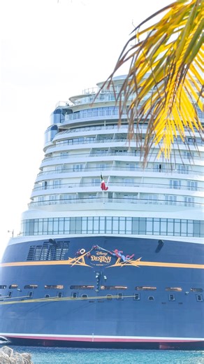 6.2K views · 318 reactions | Spidey & his Spider-Bots are here ️♥️️ Today was the first time we finally got to see the stern character for the Disney Destiny and Spider-Man didn’t disappoint! Marvel fans, be sure to add this Disney Cruise Line ship to your bucket list if you haven’t already, because it’s a must! #disneydestiny ✨ | Castle Bound Travel Company | Facebook