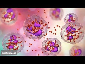 What is TLC Count? | Total Leukocyte Count Explained in Simple Terms