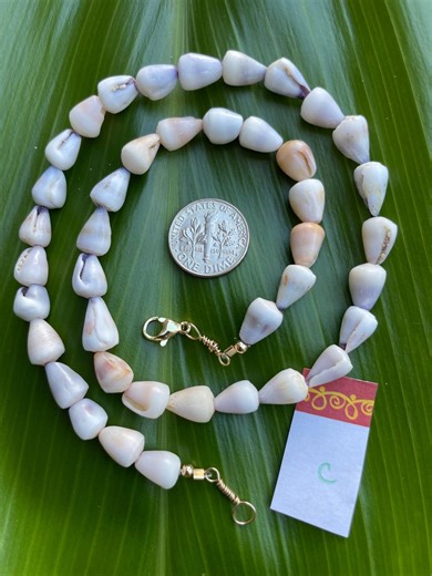 Hawaiian Baby Cone Shell Necklace - Etsy