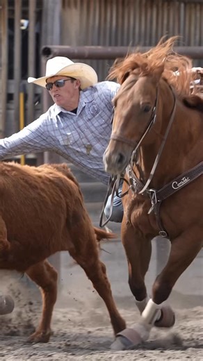 HANGING HORSES on Instagram: "Grab for hope and horn 🔥 #steerwrestling Hoover Hays Memorial Jackpot — 🤠 COWBOYS & CONTRACTORS: Tag yourselves or DM for credit — pinned comment goes to you. 💬 Conversation encouraged! 🚫 Leave a dick comment? Blocked faster than an open gate. Thx. 🐎 No animals harmed. All riders and livestock are professionals. 📌 Do not repost without explicit credit. 🎥 Captured, not generated. Shot on location, not in a server farm. #rodeo #rodeovideography #cowboyshit"