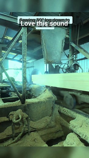 “Watch as I saw a massive 30” log down to a perfect 12 x 12 beam! It’_04 | Boreas Tree Specialist