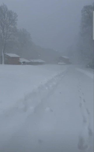 We’ve got snow at the Root, y’all! Now fingers crossed the temps stay cold so everything can freeze up! 🤞❄️ | Root Cellar Resort