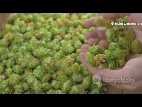 "How to Brew Craft Beer at Home 🍺 | Easy Step-by-Step Guide for Beginners"