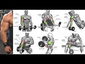 4 TOP EXS FOR BICEPS PROGRAM / PROGRAMME MUSCULATION BICEPS