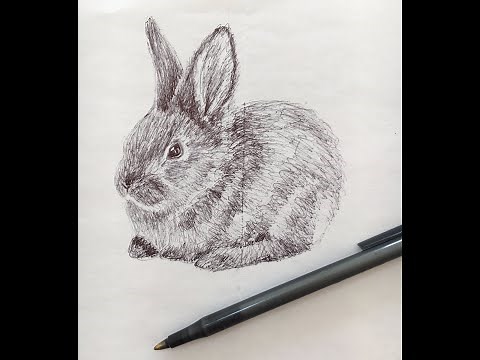 Rabbit. Simple and Easy Pen Line Drawing Sketch of a Rabbit. How to Draw a Rabbit Sketch with Pen