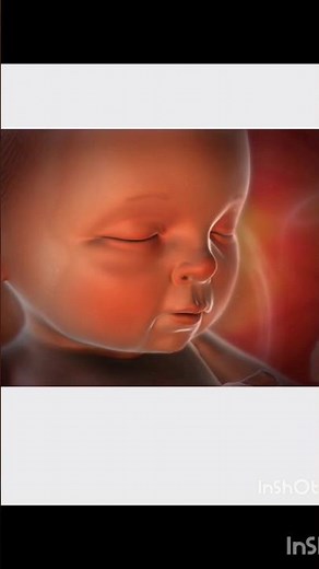 How a Single Cell Becomes a Baby – Stunning 3D Animation! #Shorts #Embryology #Medical