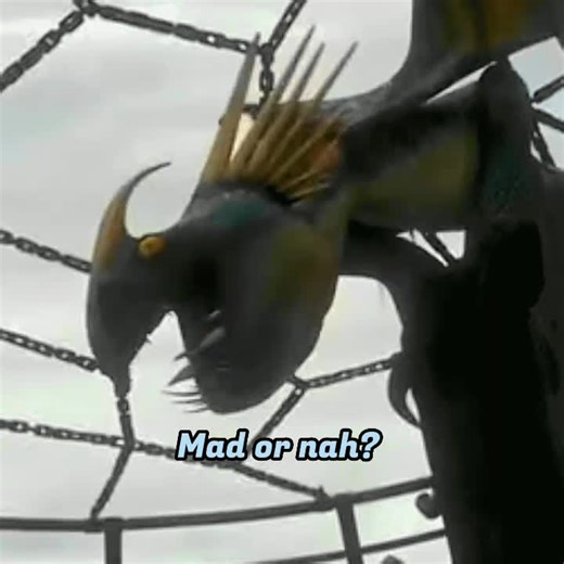 Credits:@♡︎ 𝐵𝑟𝑖 ♡︎ #httyd #dragon #stormfly #fireworm #monstrousnightmare #hookfang #deathsong