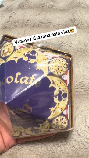 Harry Potter Chocolate Frog Review and Magic