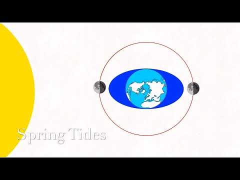 Spring & Neap Tides