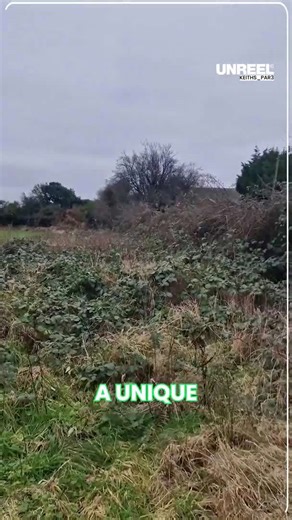 Transform your backyard into a personal golf paradise: DIY tips & tricks!