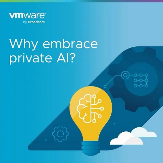 Why embrace private AI?