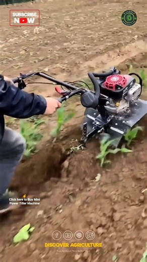 Amazing Mini Power Tiller Machine