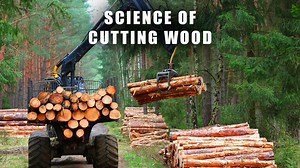 The Science of Cutting: How Tools Evolved from Stone to Modern Precision