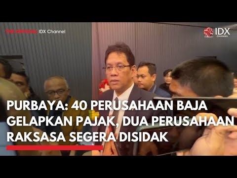 Purbaya: 40 Perusahaan Baja Gelapkan Pajak, Dua Perusahaan Raksasa Segera Disidak | IDXC UPDATE