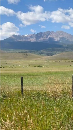 Tranquil Ranch Views with the Colorado Rockies in the Distance