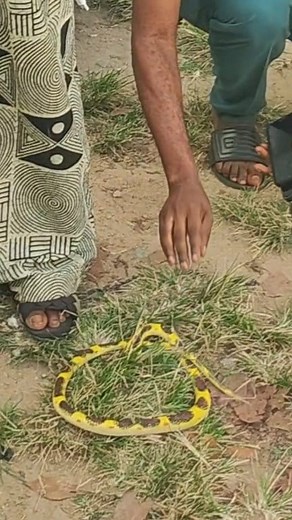 E gbo se ejo gidi ni abi fake🥺 #ShareThisPost #comment #fypシ゚viralシ #like #fypシ | powerconceptpro