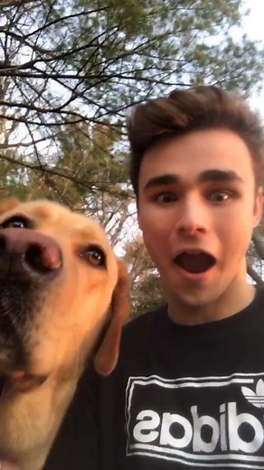 Please tell me no ones done this with a dog bc that was dope #foryou #foryoupage