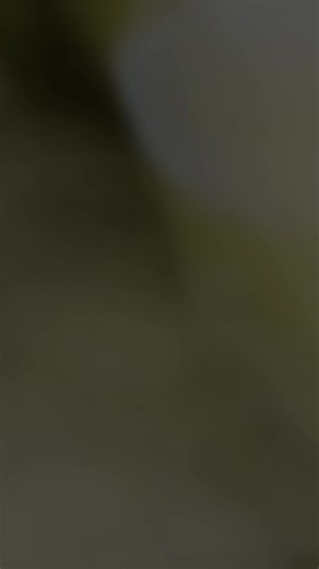 😫🥤#foryou #fyyyyyyyyyyyyyyyy #onemillionaudition #viral #downsouth #100kviews