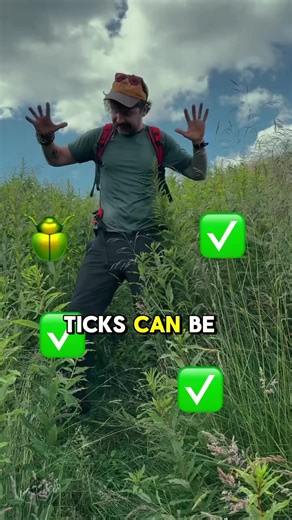 How to avoid ticks when hiking