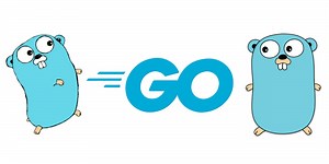 Assertions in gotests Test Generation