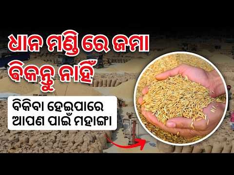 ଧାନ ମଣ୍ଡି ଟୋକେନ ସମସ୍ୟା! ବିକ୍ରି କଲେ ହେଇପାରେ ବଡ଼ ହାନି Mandi news