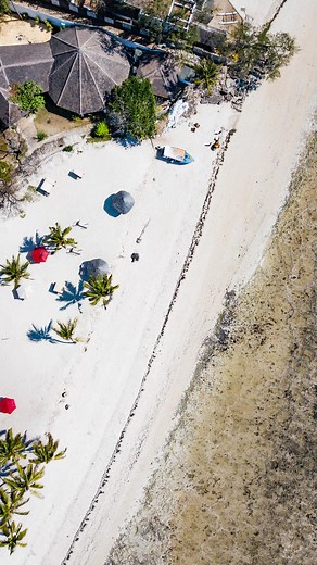 A setting that captures the very essence of the paradise; open, airy and effortlessly elegant. The soft hues of sand and sea flow through every detail, creating a space that invites you to linger a little longer. This is where coastal grace becomes a feeling, not just a view. Book your next holiday 📞 0709 532 000 📩 callcentre@prideinn.co.ke #PrideInnParadise #LuxuryRetreat #BeachsideBliss #FeelThePrideInnTouch #ParadiseMoments #TravelInStyle #prideinn | PrideInn Paradise Beach Resort