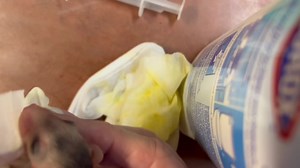 8.2K views · 501 reactions | ❤️DISCLAIMER~YALL NOOOOO WE ARE NOT...