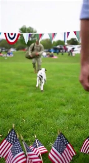 🥰 Spotty Dog Spots Soldier Dad at 4th of July Heartwarming Reunion