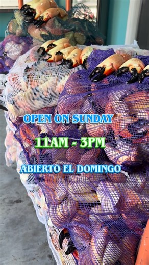 Premium Seafood & Meats 🔌 on Instagram: "Freshness crab in town #thefishplug #stonecrab #miami #fyp #broward #florida #miami #god"