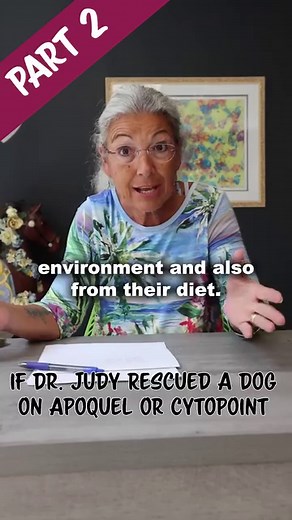 2️⃣ Part 2 of what I would do if I rescued a dog on Apoquel or Cytopoint. #drjudymorgan #naturallyhealthypets #dogallergies #cytopoint #apoquel #holisticvet | Dr. Judy Morgan's Naturally Healthy Pets