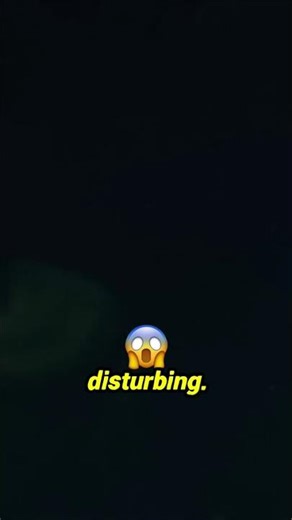 Cat's Night Out Turns into a Fright Fest! 😱 Did something *actually* appear?