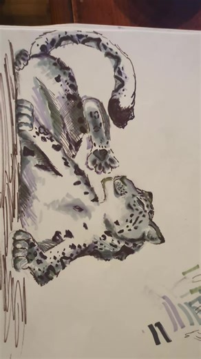 Snow leopard 🌨️ 🐆 Comment down other things I should draw! #alcoholmarkers #snowleopard #fyp #art #kittycat