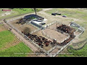 Transito en Corrales Farmquip