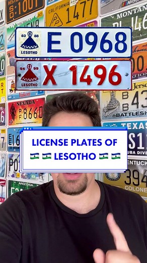 Ethan the License Plate Guy on TikTok