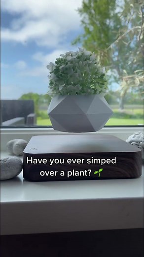 We’re launching this product soon!! 🕺🏻 #plant #decoration #levitatingplant #future #luxury #product #plantsoftiktok