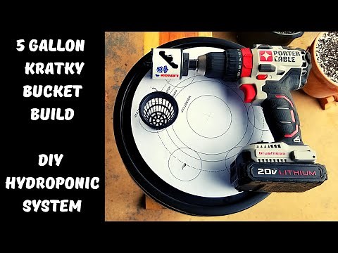 5 Gallon Kratky Bucket Build || DIY Hydroponic System