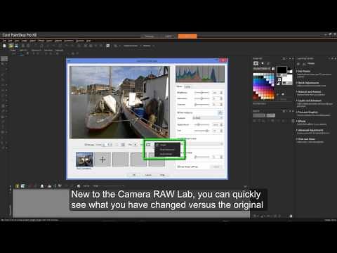 Introducing the improved RAW Lab in PaintShop Pro X8