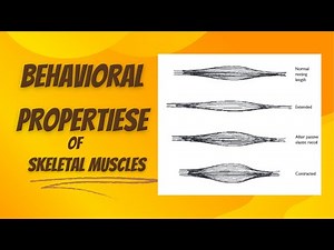 Understanding Extensibility, Elasticity, Irritability and Contractility#physiotherapy